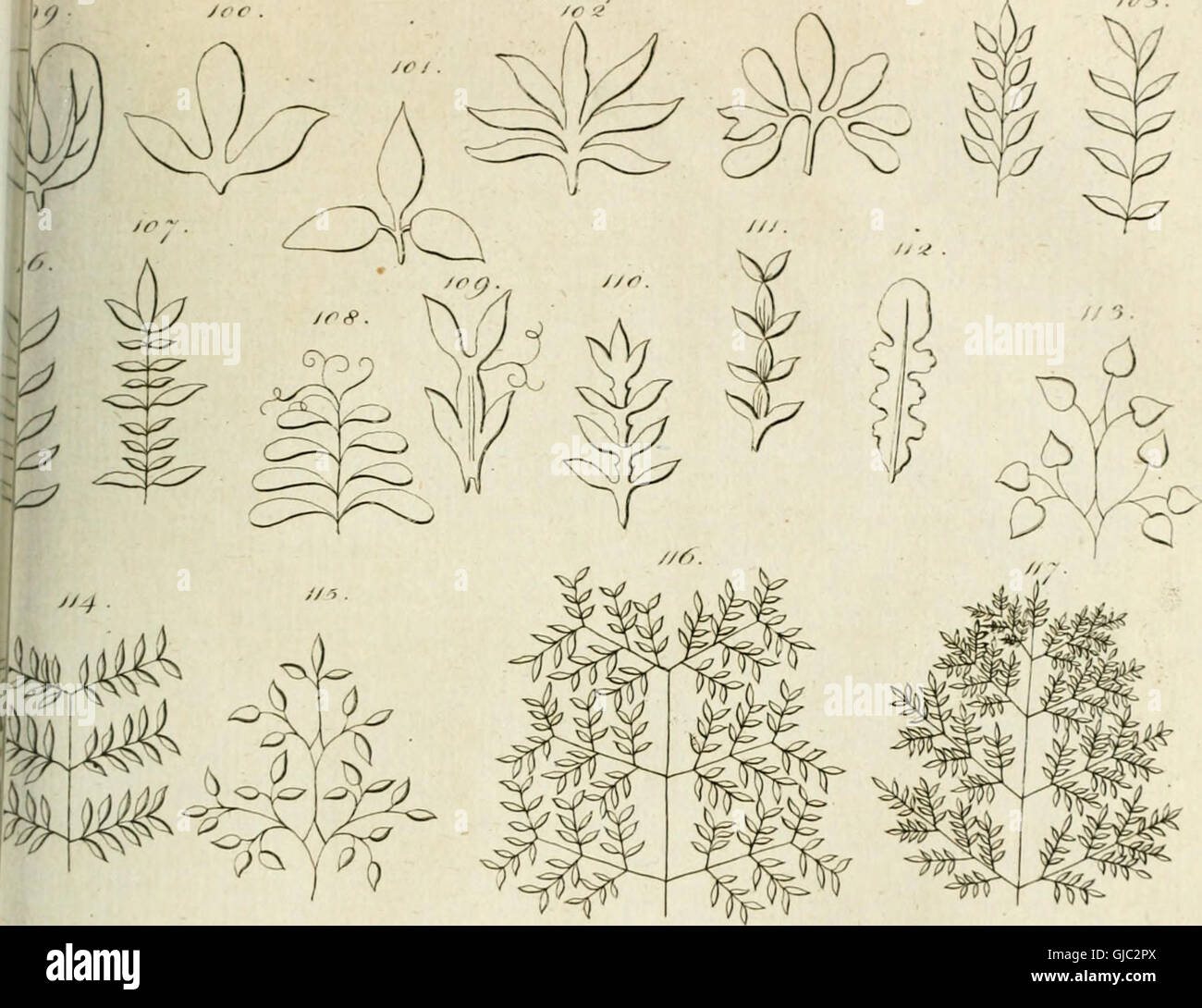 *Encyclopædia Britannica* is a comprehensive reference work providing ...