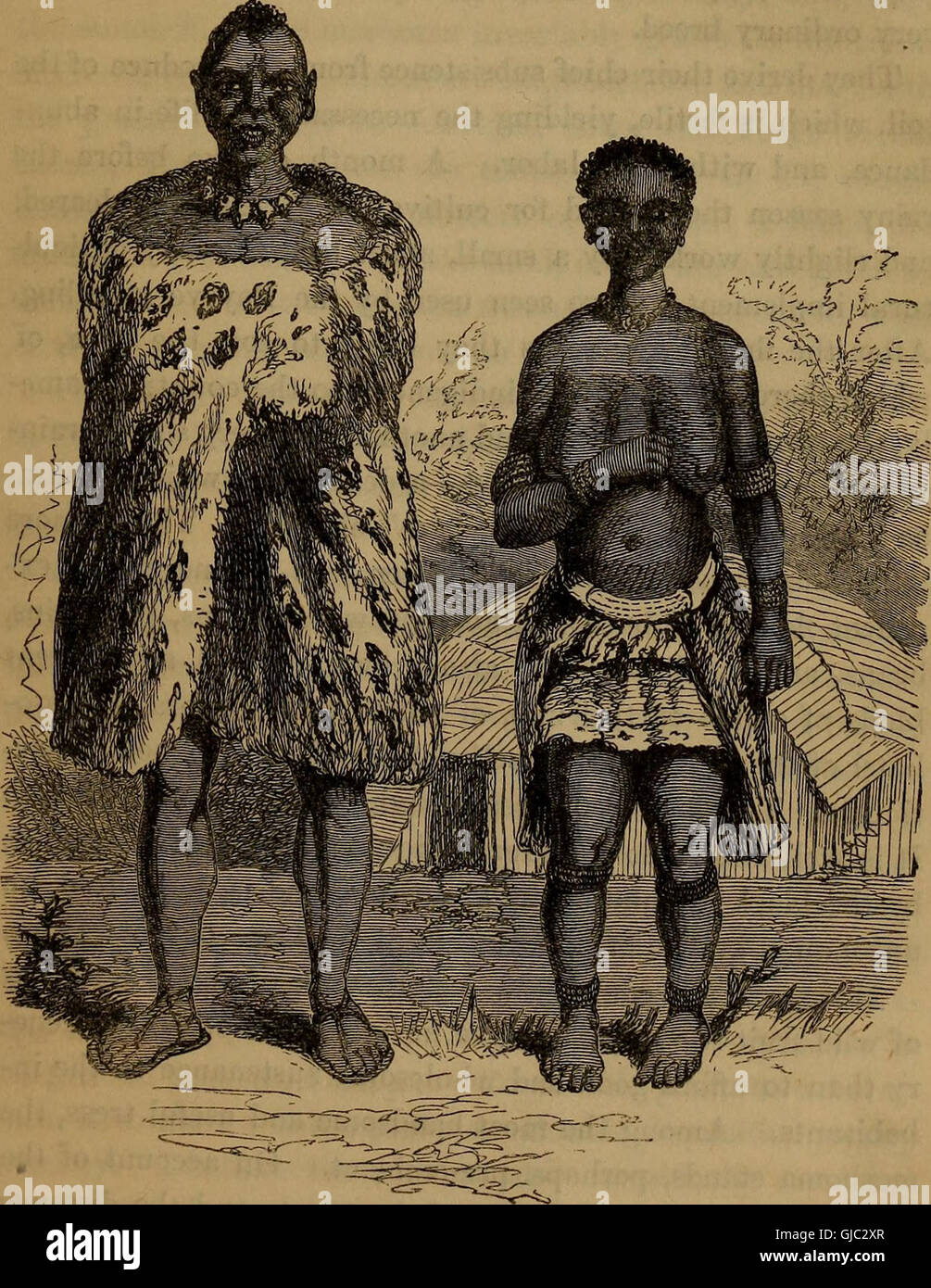 Map 1861 africa hi-res stock photography and images - Alamy