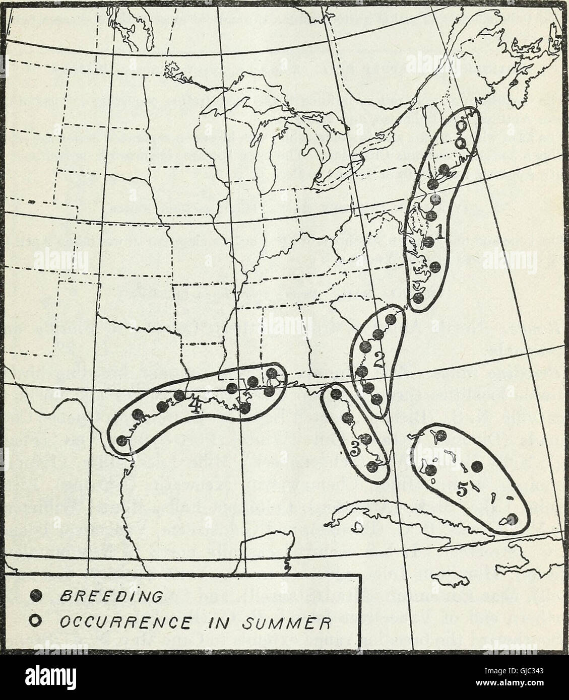 *Distribution and Migration of North American Rails and Their Allies ...