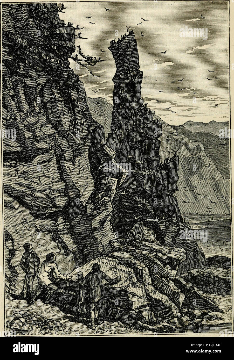 *The Hunter and the Trapper in North America* (1875) is an adventurous ...