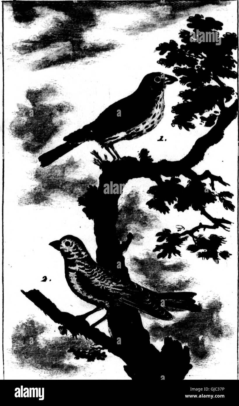 This 1802 work by Buffon is a natural history, classified by orders ...