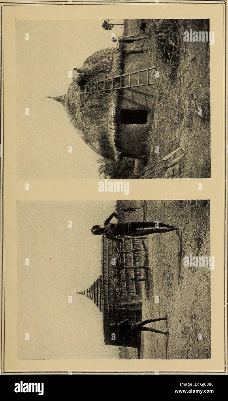 This 1913 survey outlines the conditions faced by missionaries in the ...