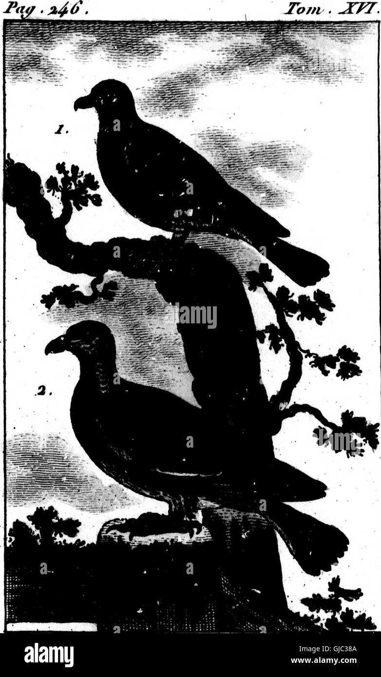 *Histoire Naturelle de Buffon* (1802) is a comprehensive natural ...