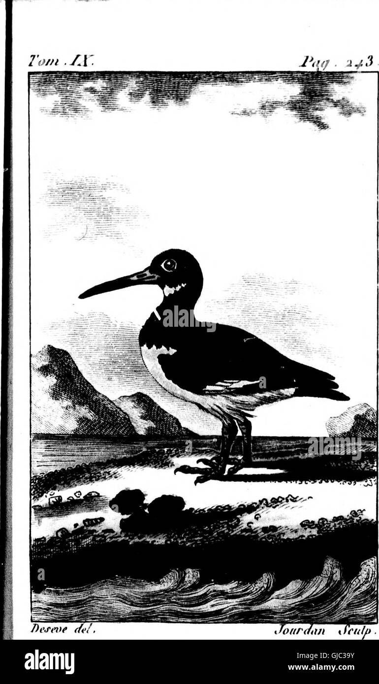 *Histoire naturelle de Buffon* (1802), in microform, presents the ...