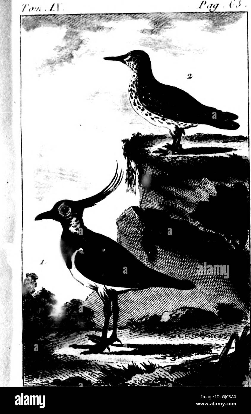 'Histoire naturelle de Buffon' (1802), presented in microform ...