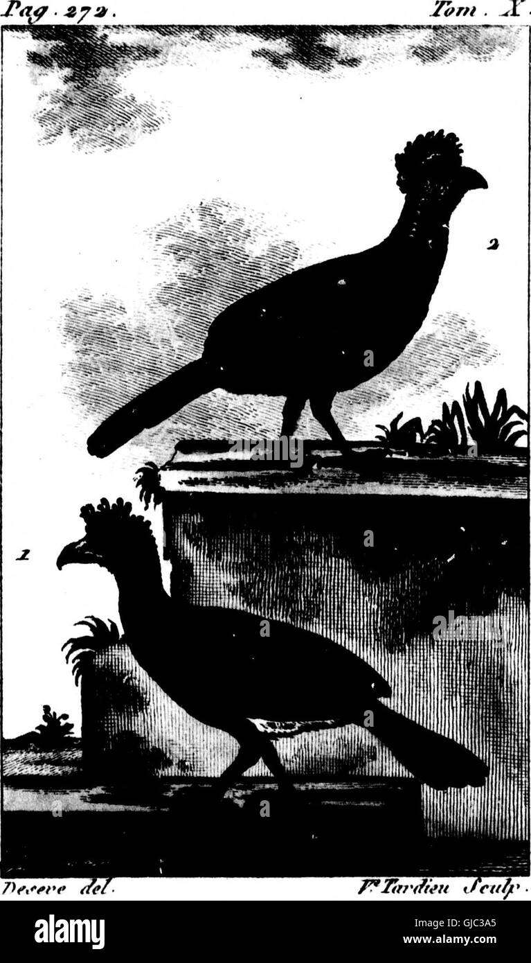 *Histoire Naturelle de Buffon* (1802) is a comprehensive natural ...