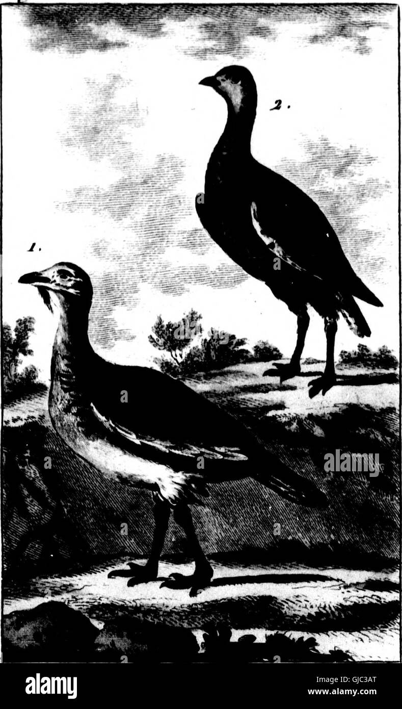 *Histoire Naturelle de Buffon* (1802) is a work by Georges-Louis ...