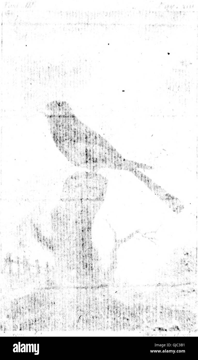 This 1802 edition of Buffon’s Natural History follows Linnaeus ...