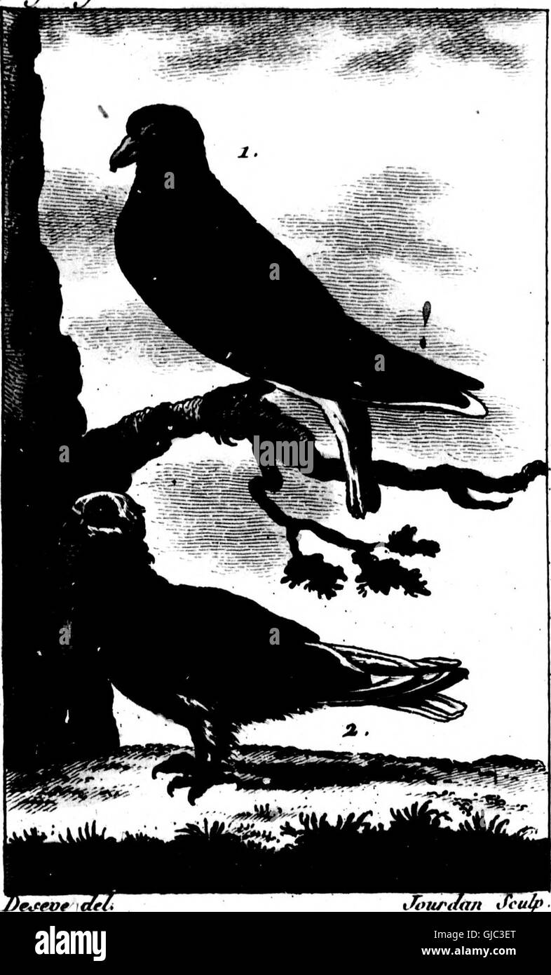 'Histoire Naturelle de Buffon' (1802) is a monumental work by Georges ...