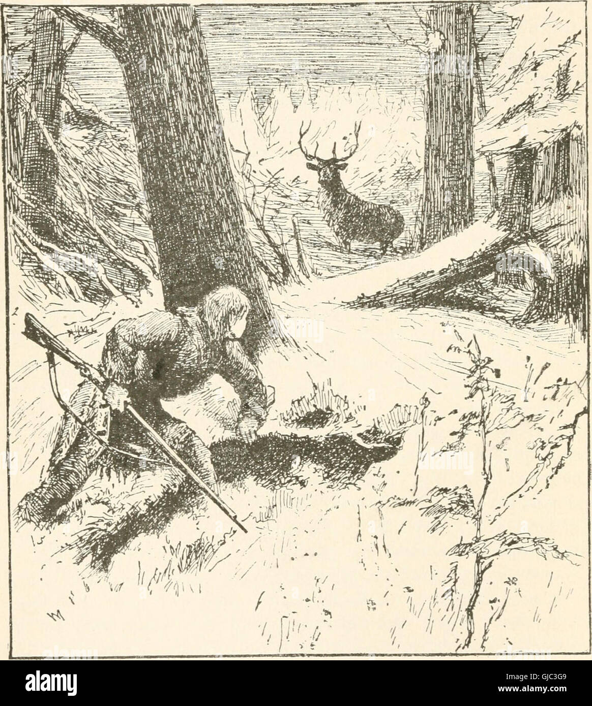 'The True Story Book' (1893) is a collection of non-fictional, factual ...