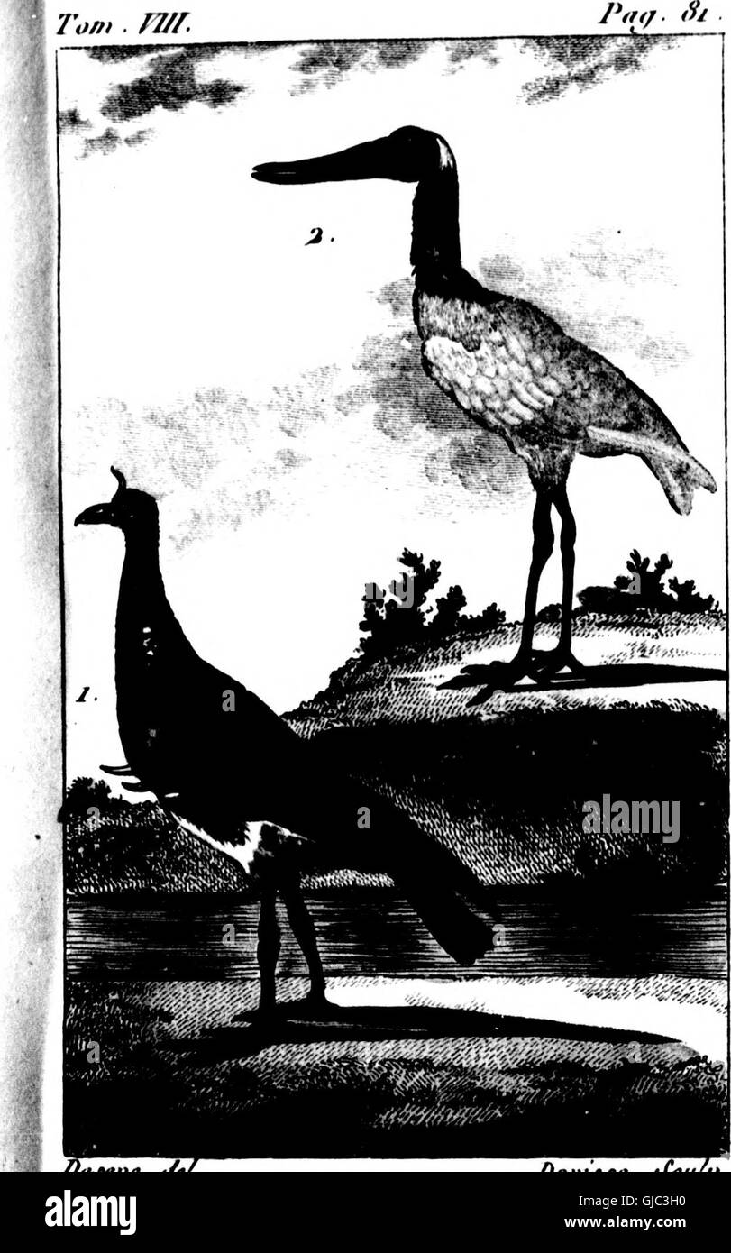 'Histoire naturelle de Buffon' (1802) is a classic work by Georges ...