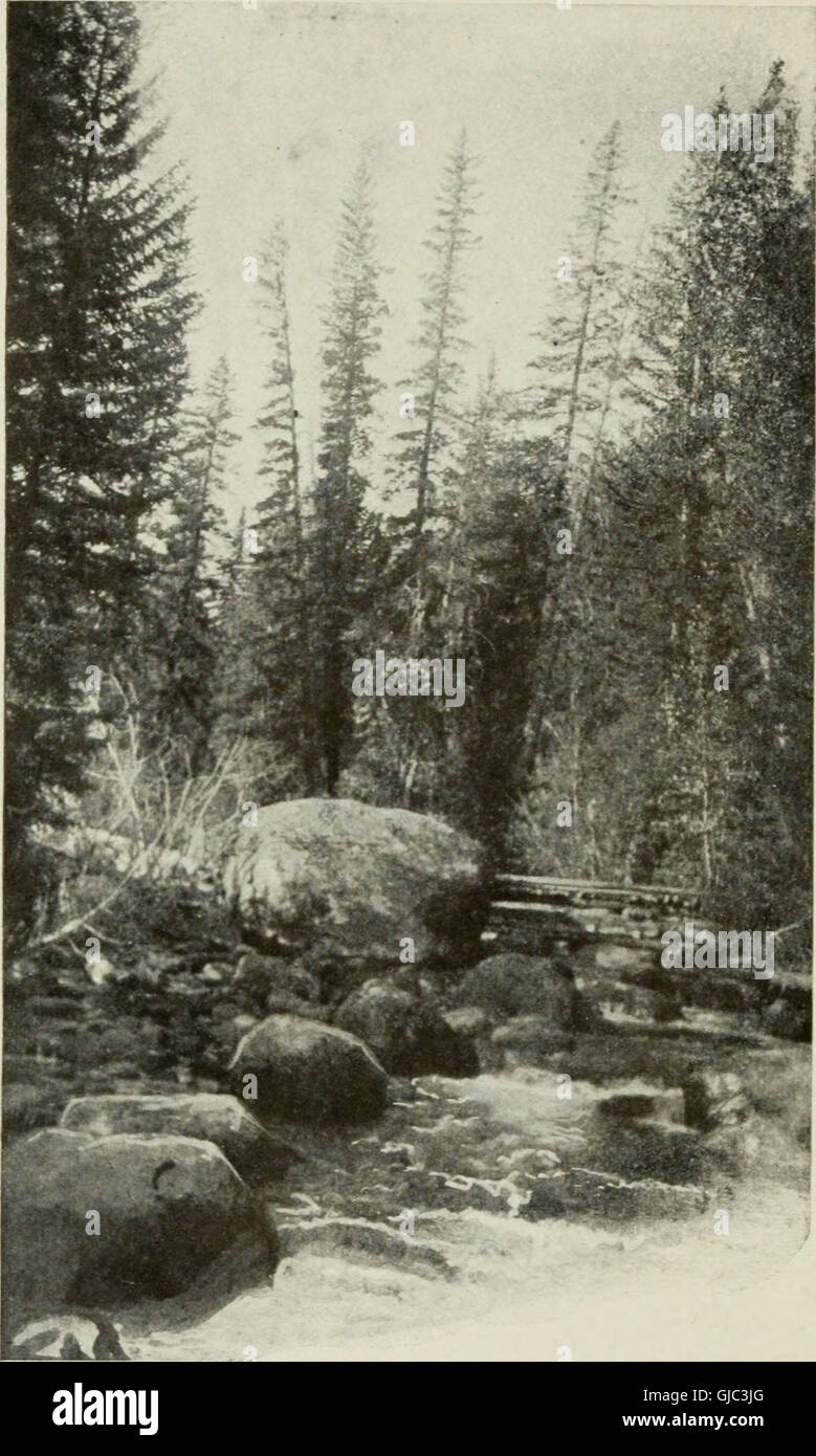 The Yellowstone national park, historical and descriptive, illustrated ...