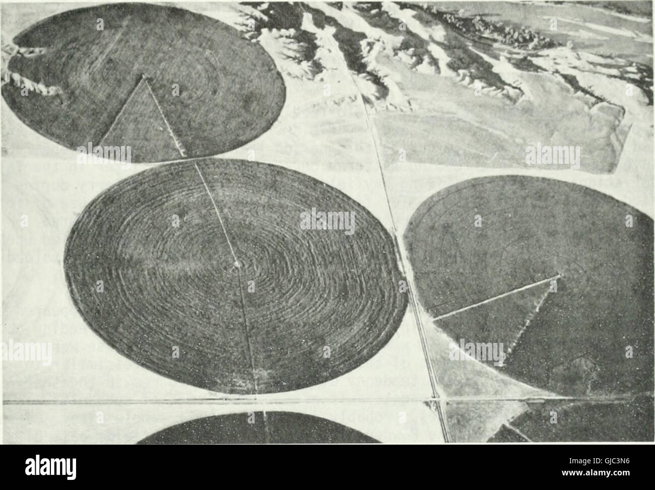 The study, 'The Effect of Altered Streamflow on Migratory Birds of the ...