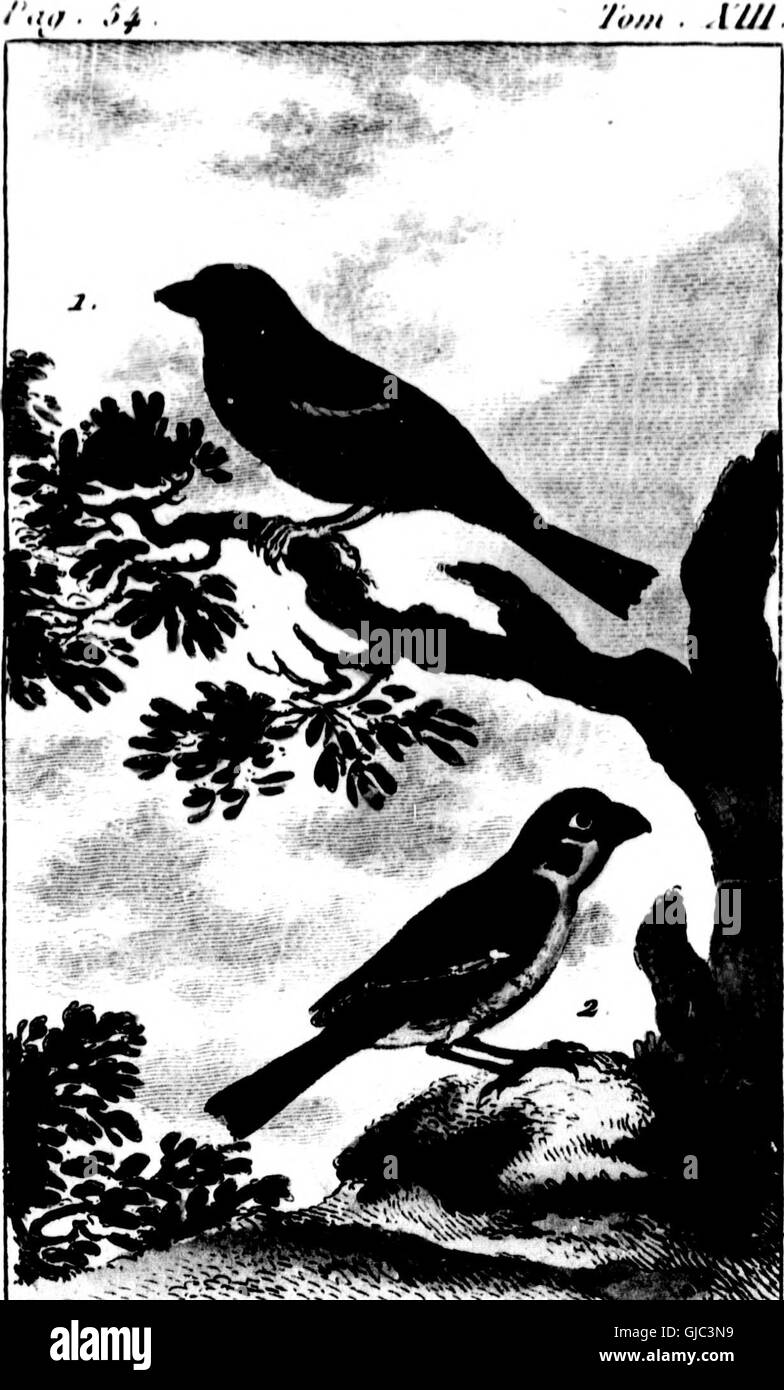 *Histoire naturelle de Buffon* (1802) is a continuation of Buffon’s ...