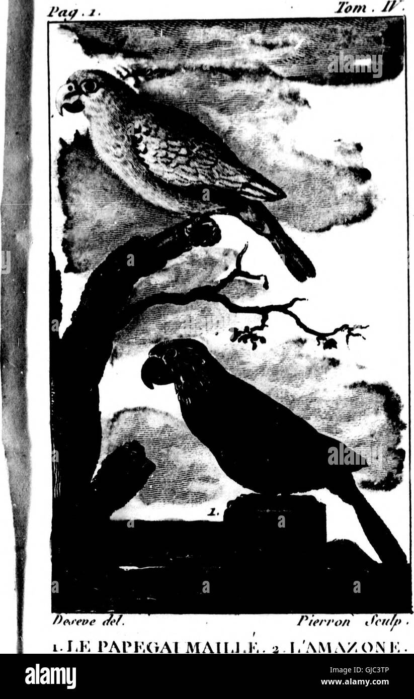 This 1802 work by Georges-Louis Leclerc, Comte de Buffon, is a natural ...