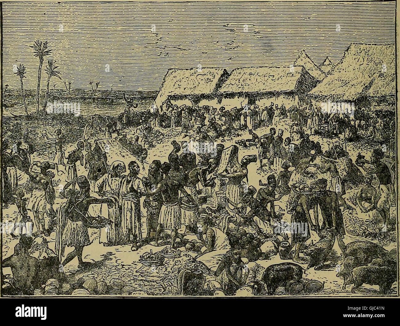 This book details the tropical explorations of Henry M. Stanley and ...