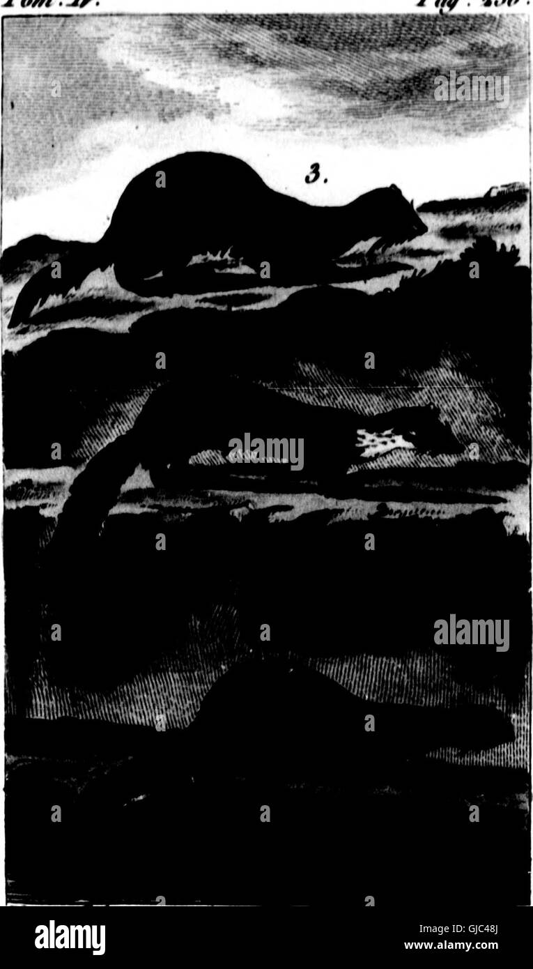 *Histoire Naturelle de Buffon* (1802) is a comprehensive work on ...