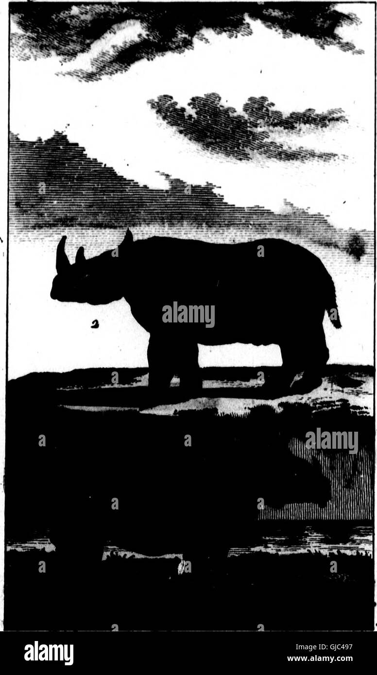 Buffon's 'Histoire Naturelle' (1802) organizes species according to ...