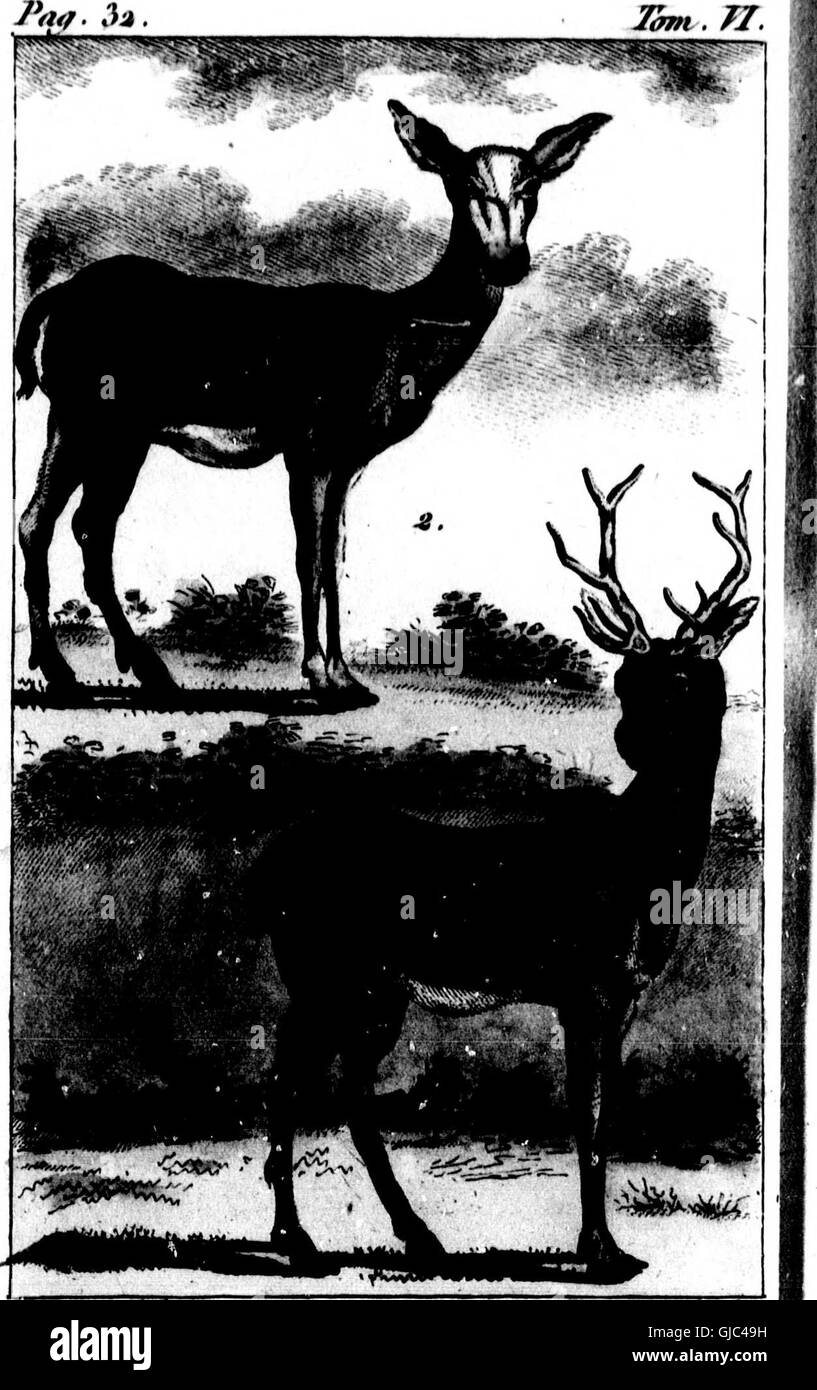 This 1802 work, 'Histoire Naturelle de Buffon,' follows Linnaean ...