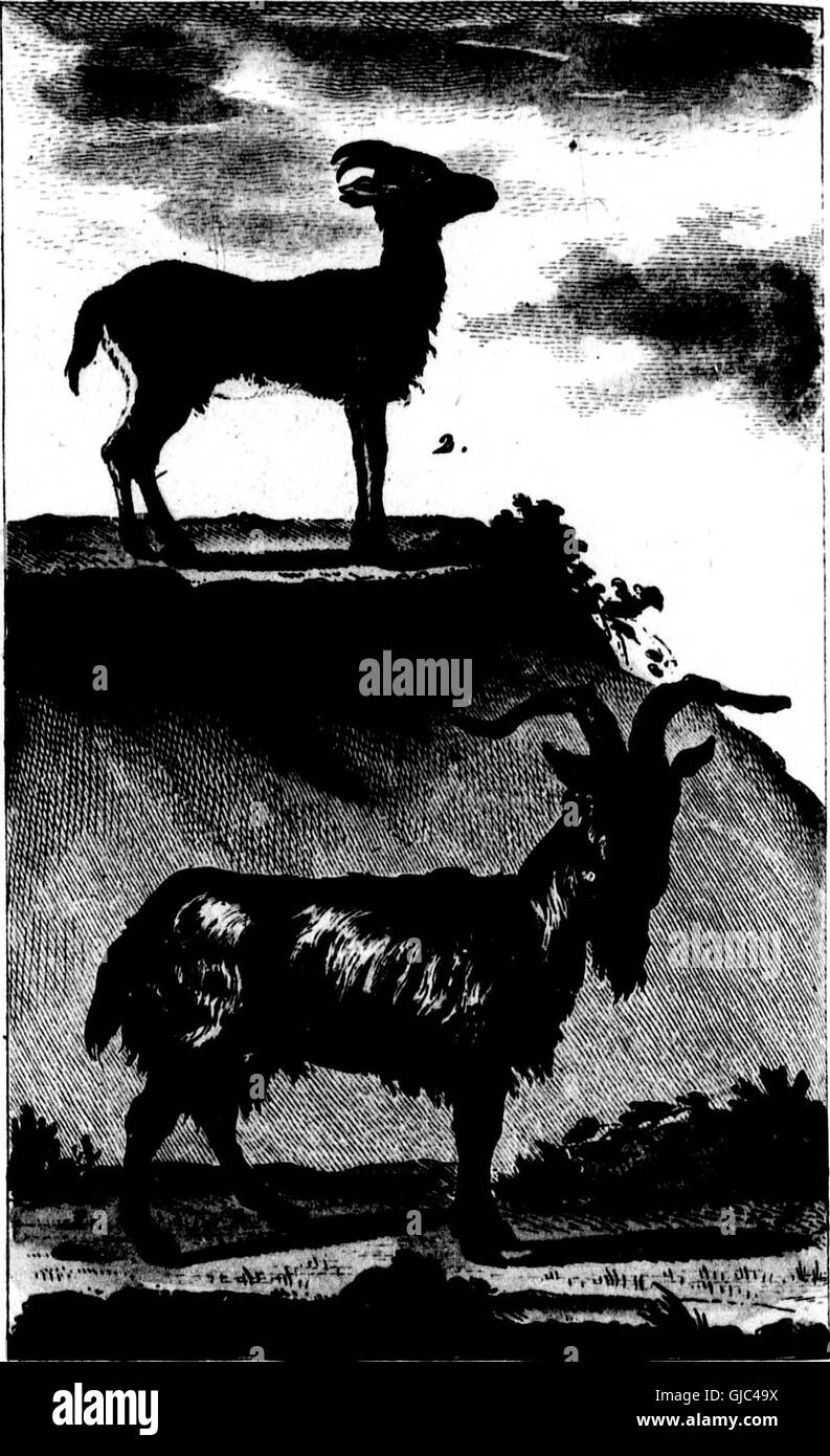 Buffon’s *Histoire Naturelle* (1802) offers a comprehensive ...