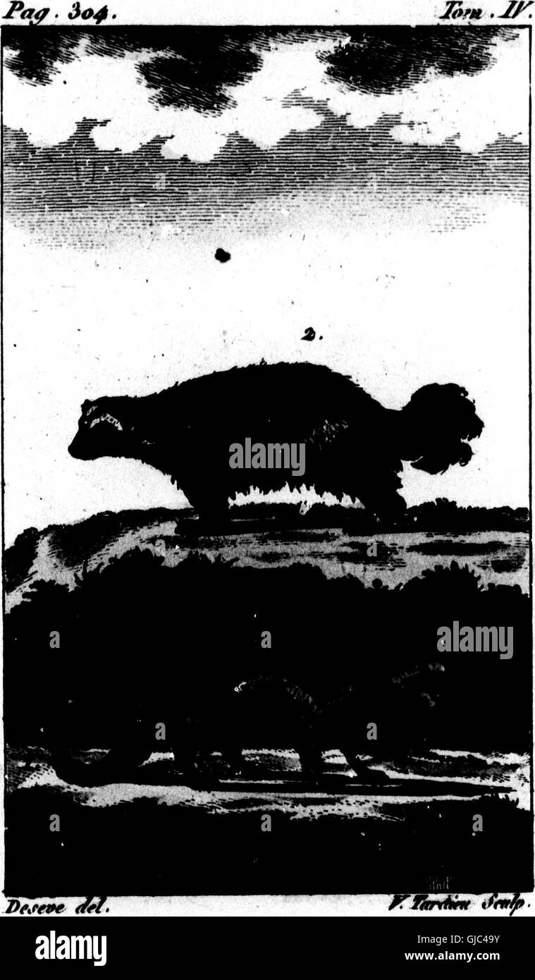 *Histoire naturelle de Buffon* (Natural History of Buffon) is an 1802 ...