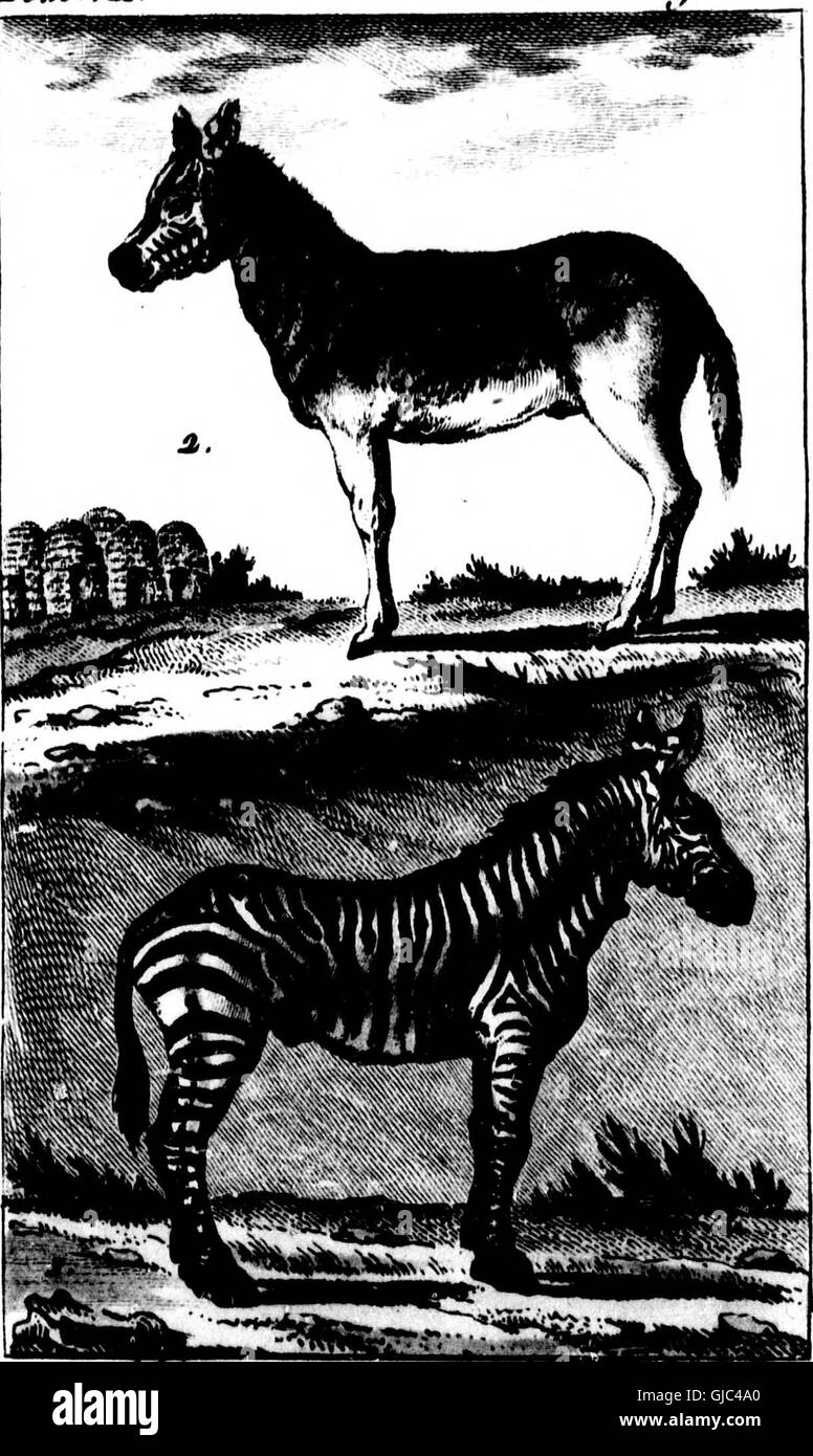 'Histoire naturelle de Buffon' (1802) classifies species based on the ...