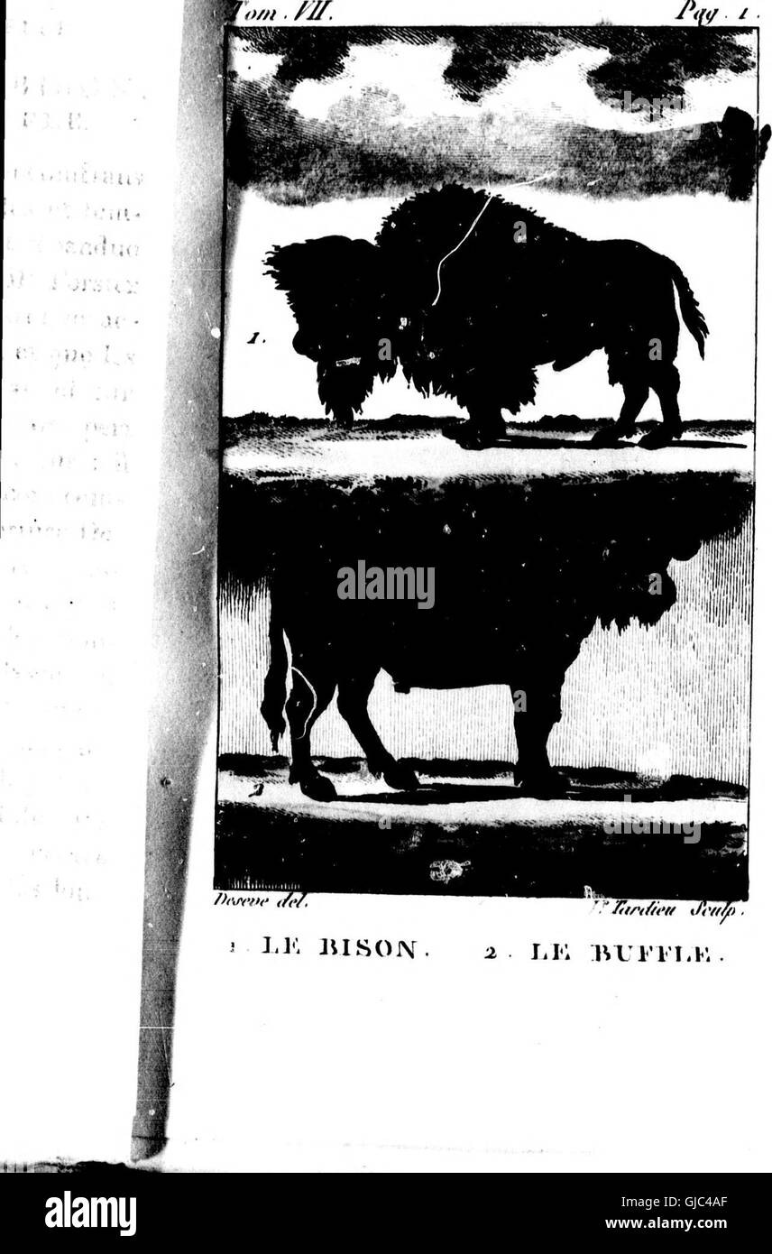 This 1802 work, 'Histoire Naturelle de Buffon,' categorizes species and ...