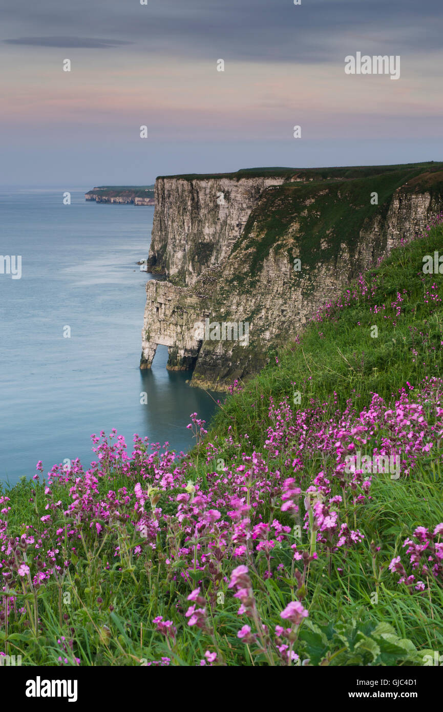 Towering cliffside hi-res stock photography and images - Alamy