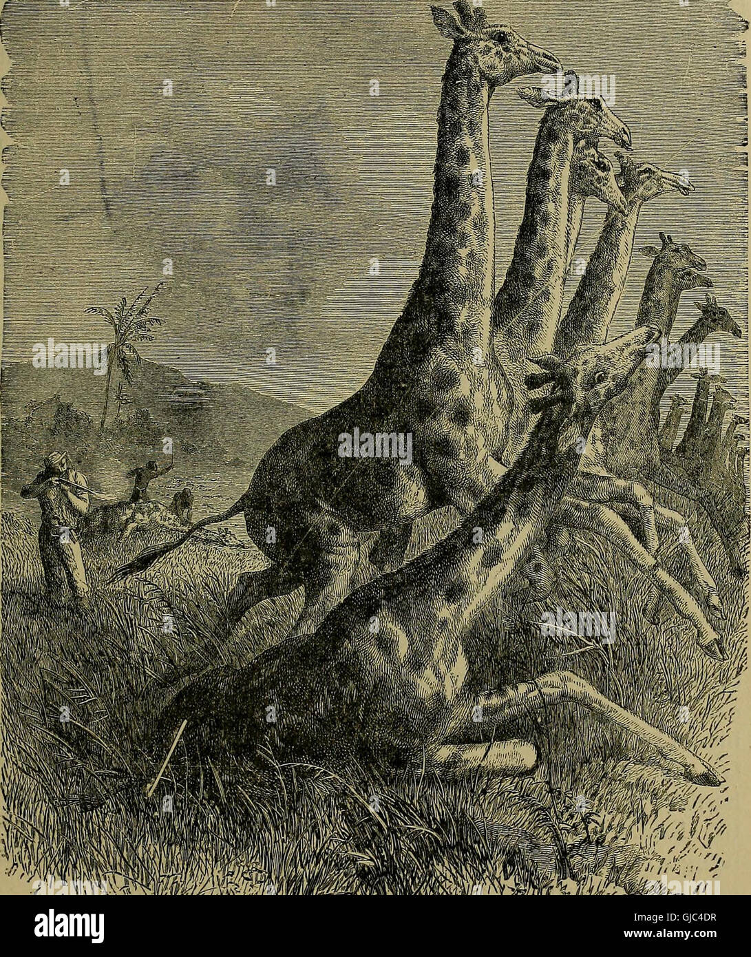 Speke map hi-res stock photography and images - Alamy