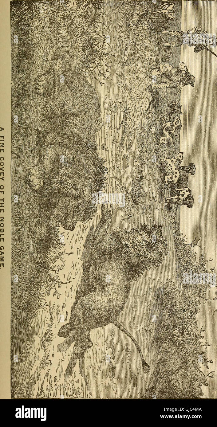 Daring deeds in the tropics. A thrilling narrative of remarkable ...