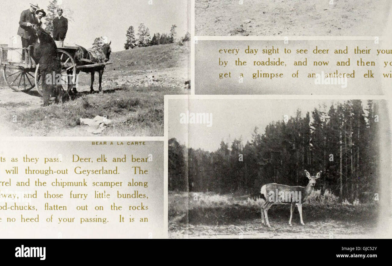 This publication highlights the new Oregon Short Line Railroad service ...