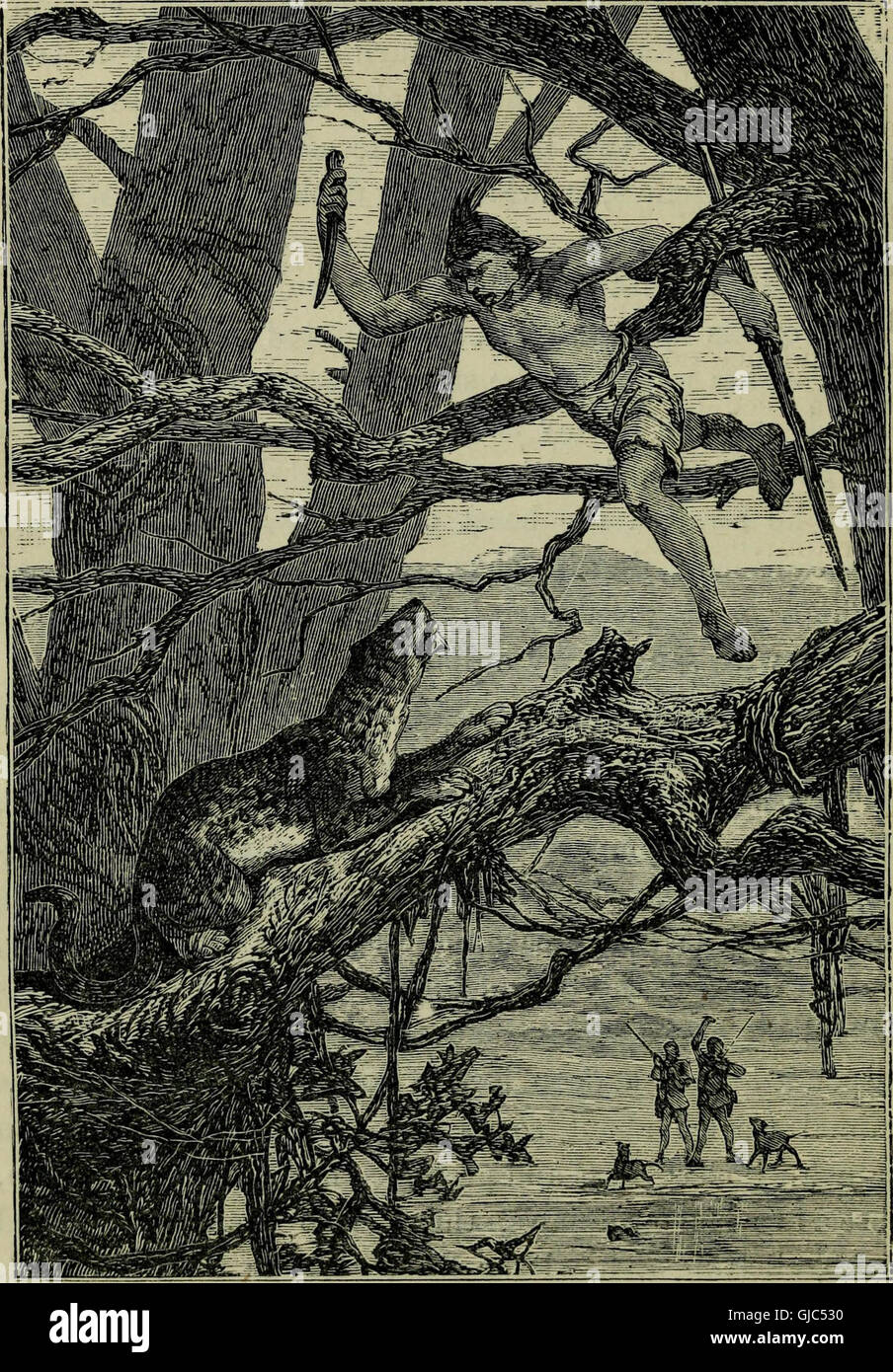 This 1875 French work by Bénédict Rivoil offers thrilling accounts of ...