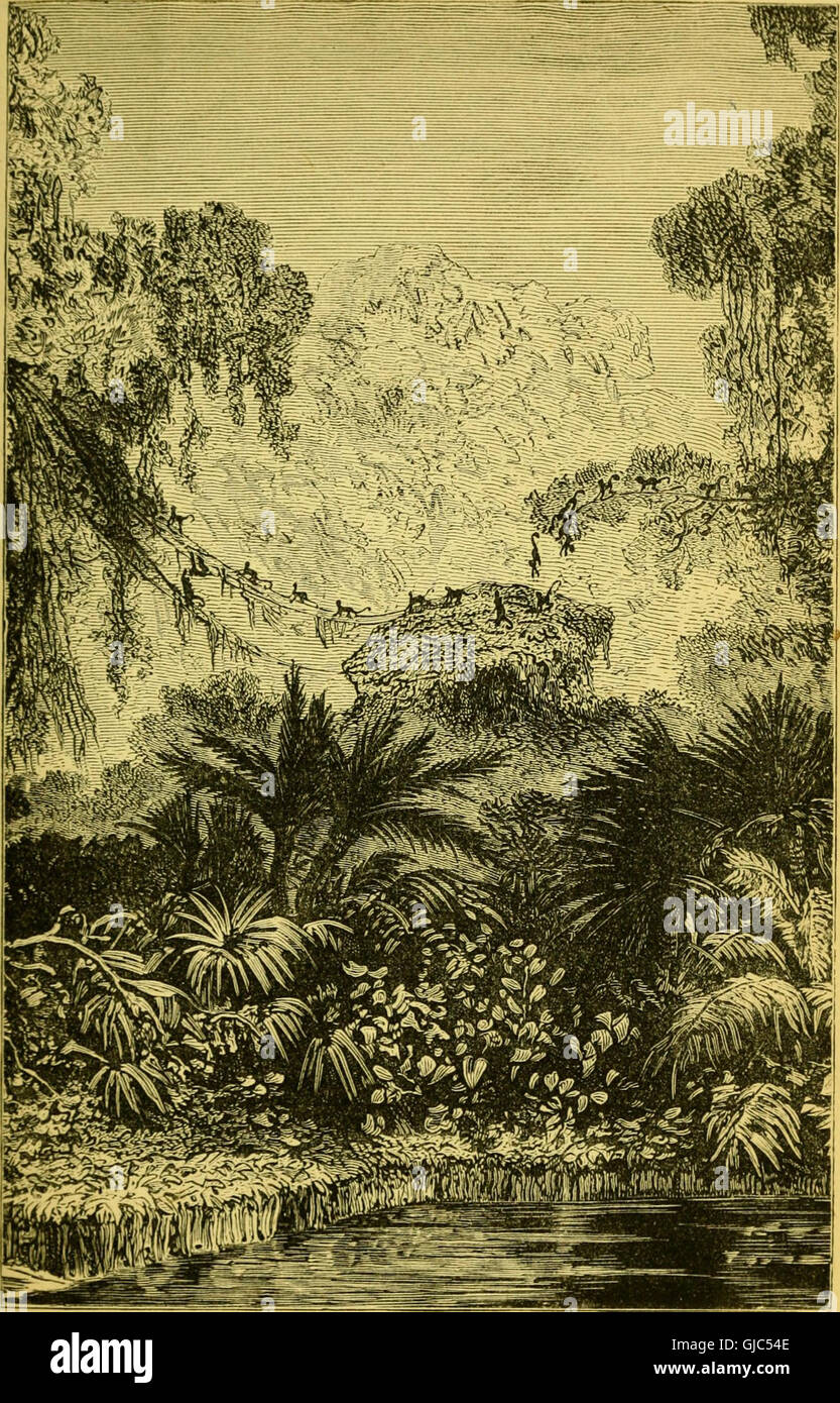 This 1884 adventure narrative chronicles the travels of Frank Radcliffe ...