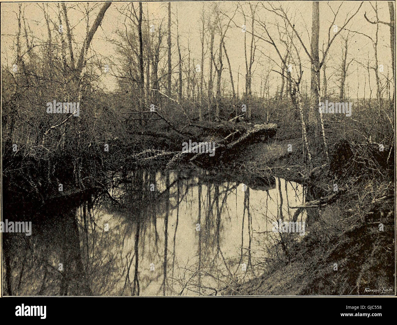 Life of Abraham Lincoln - being a biography of his life from his birth ...