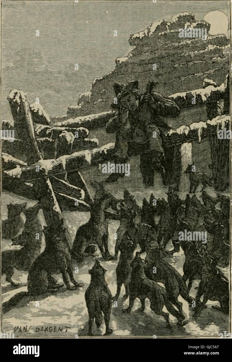 The hunter and the trapper in North America; or, Romantic adventures in ...