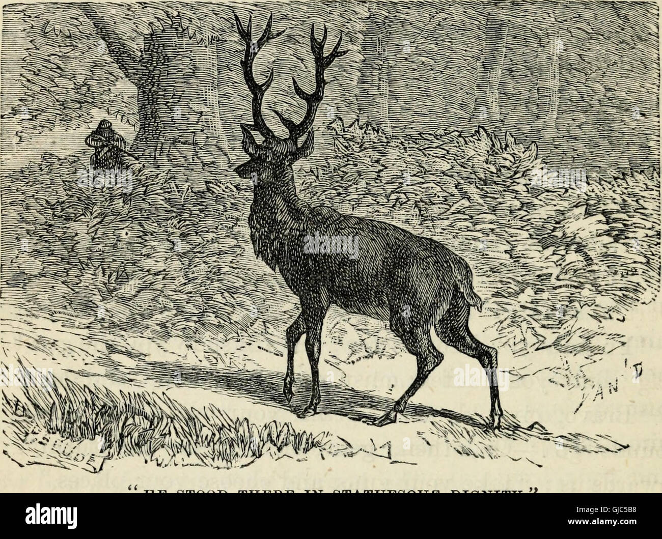 This 1875 work details the romantic adventures of hunters and trappers ...