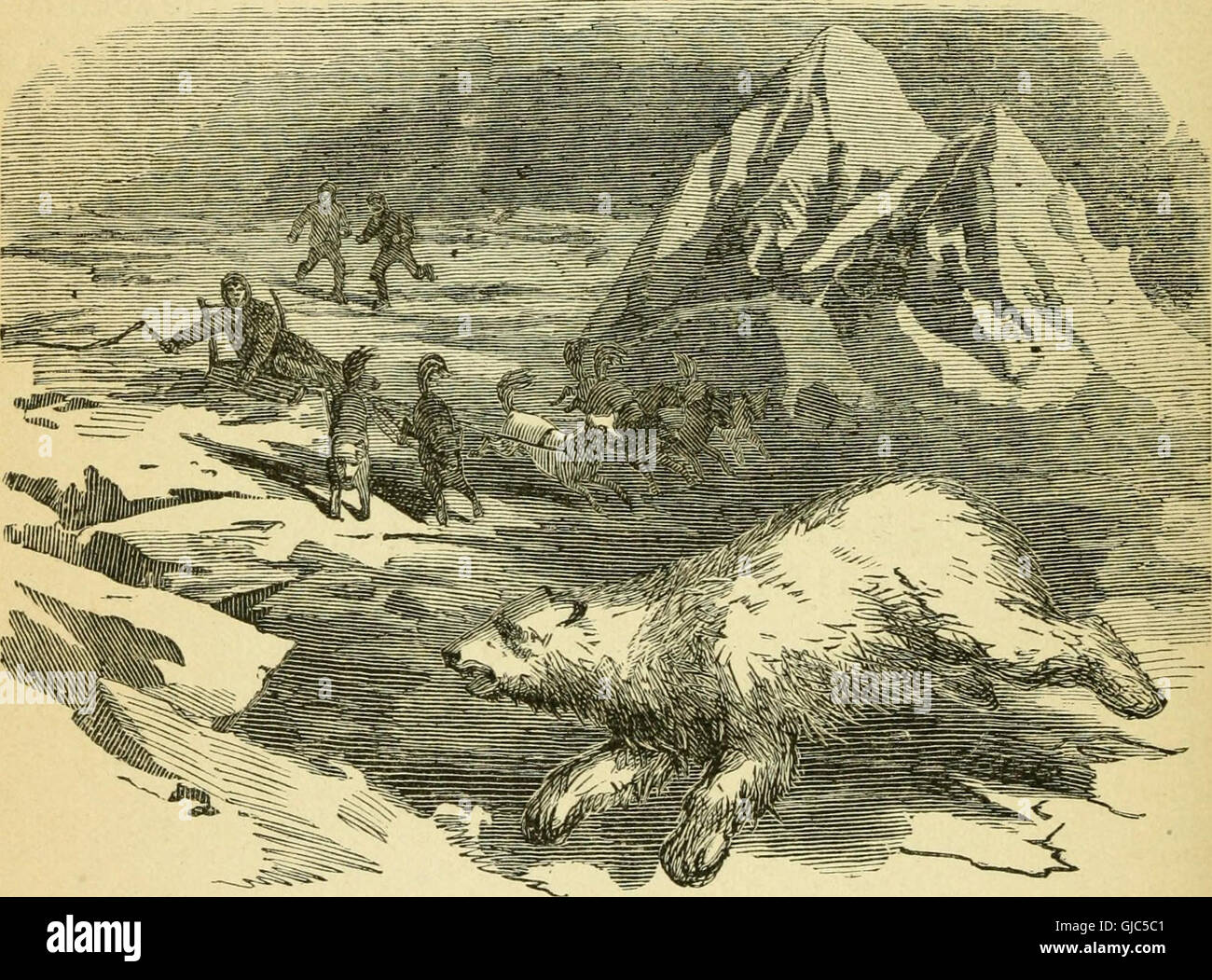 This narrative recounts the adventures of a young man who was cast away ...