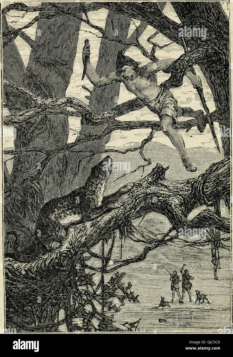 'The Hunter and the Trapper in North America' (1875), originally ...