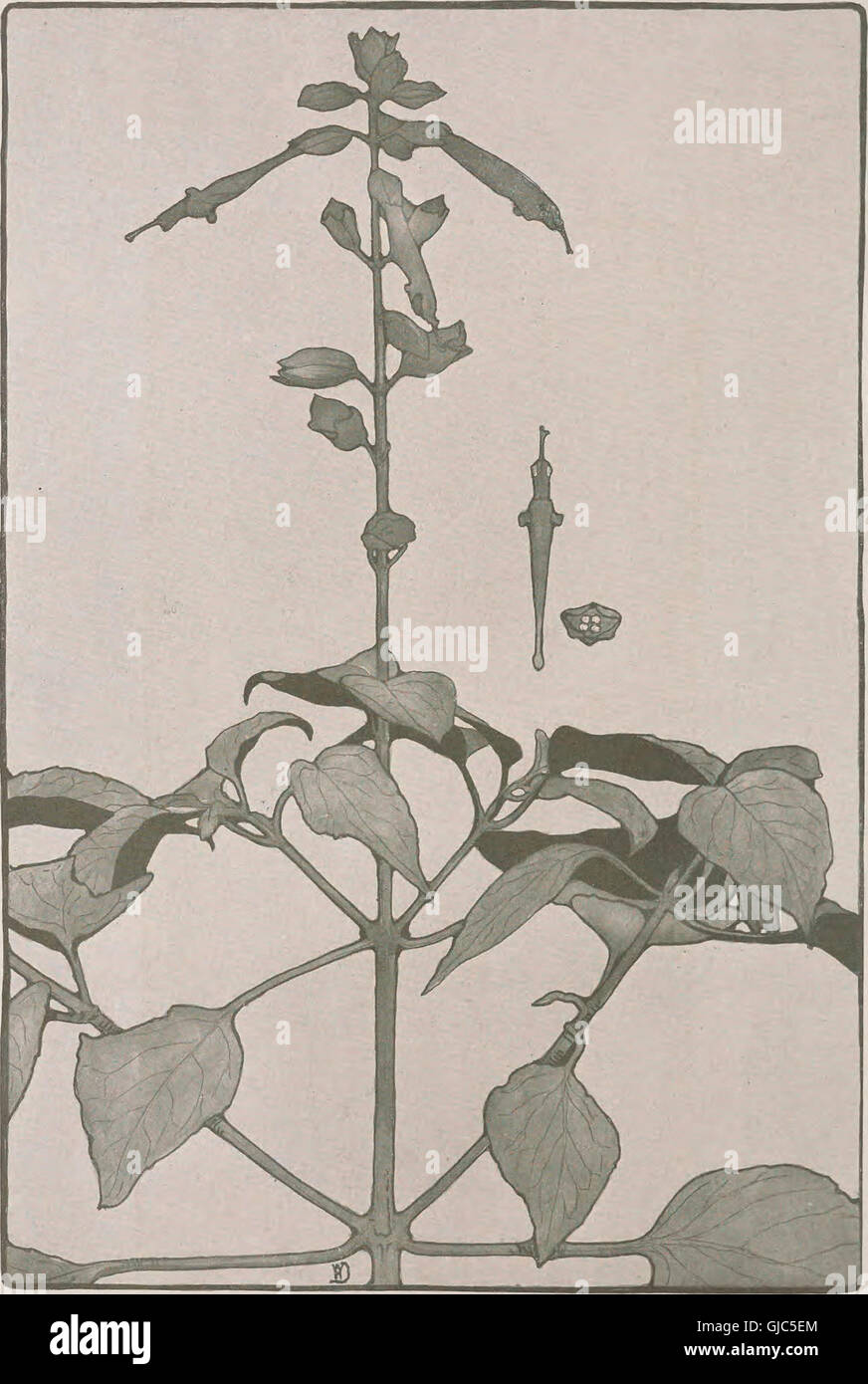 Published in 1912, Keramic Studio was a magazine dedicated to ceramics ...