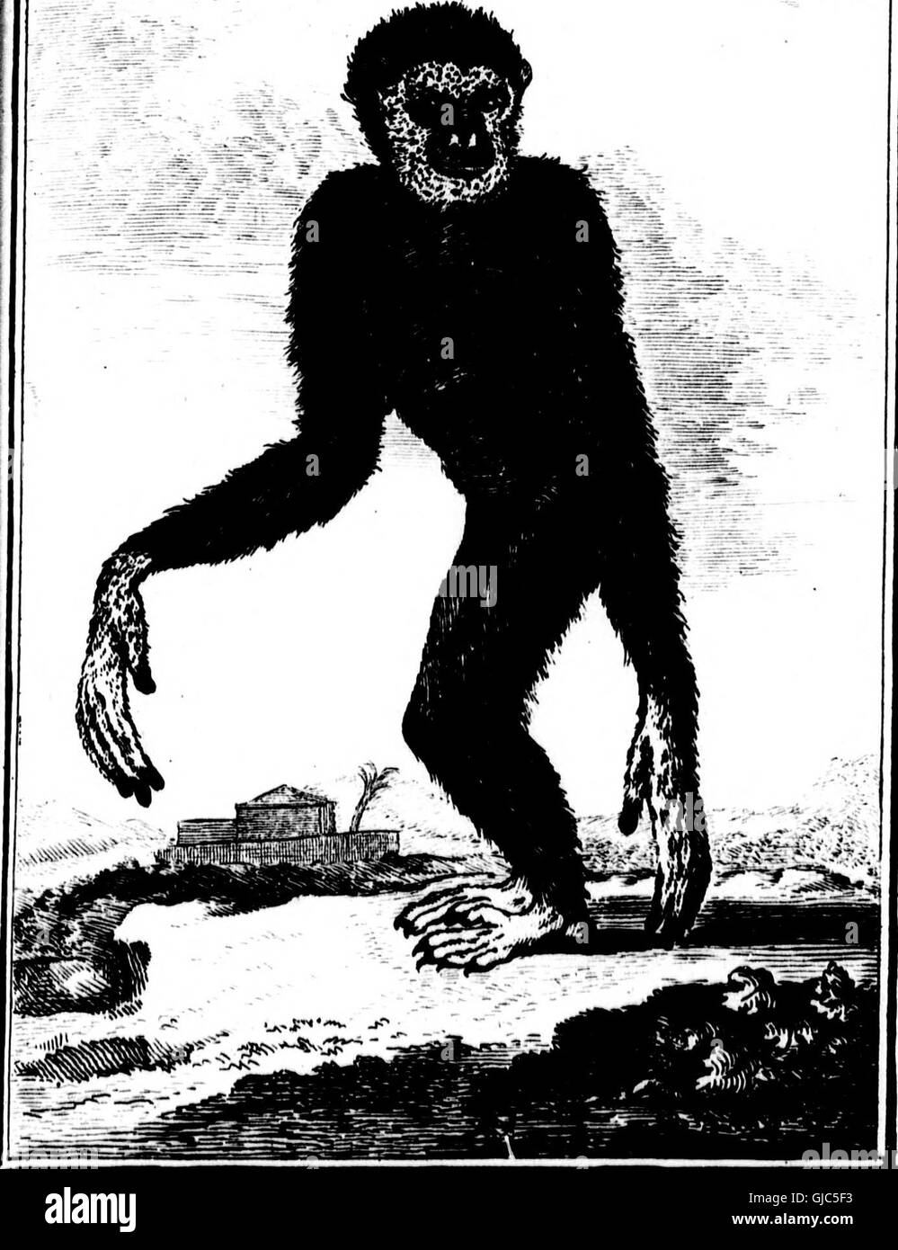 This 1770 work, a natural history text in both general and specific ...