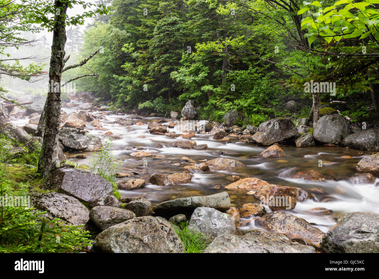 Glen Ellis River, Jackson, New Hampshire Stock Photo - Alamy