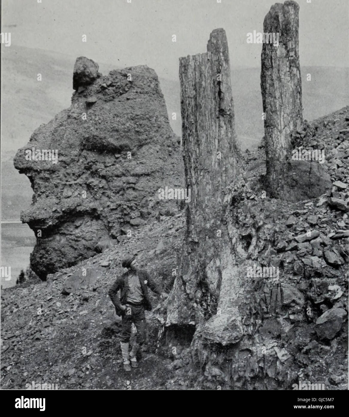 'Geology' (1907) covers foundational principles of geology, including ...
