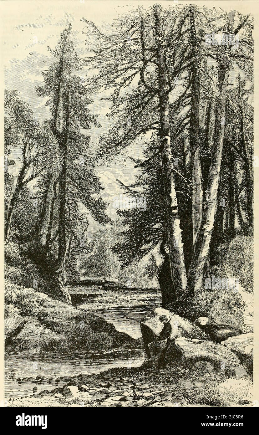 *Summer Excursion Routes* (1885) provides a guide to popular travel ...