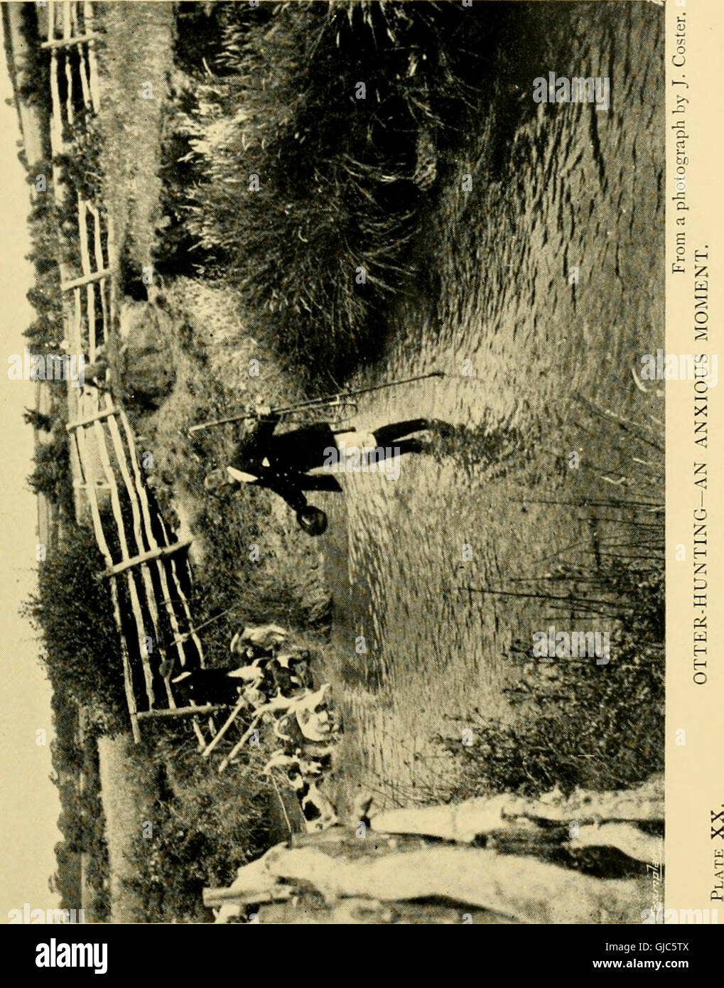 Nature and sport in Britain (1904 Stock Photo - Alamy