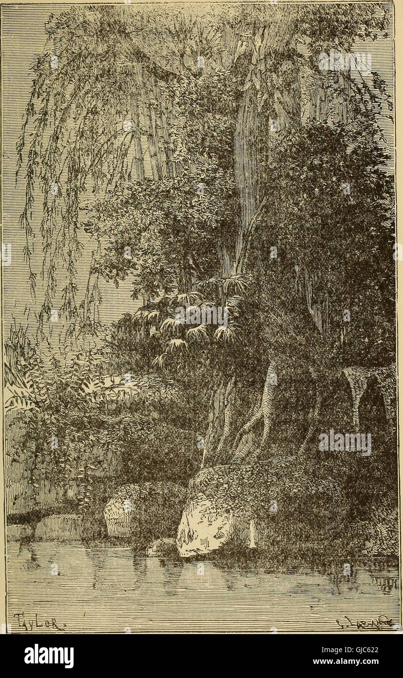 Daring deeds in the tropics. A thrilling narrative of remarkable ...