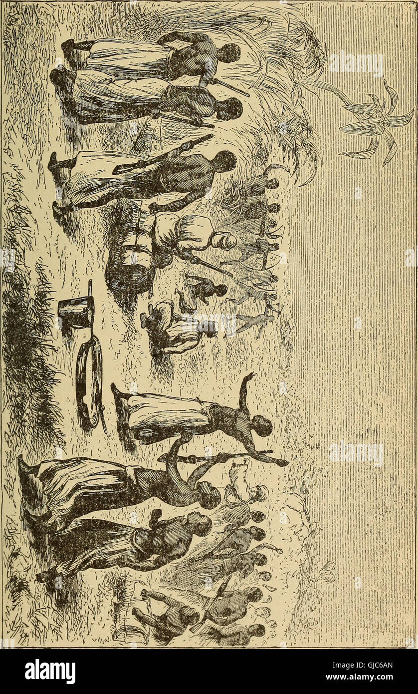 'Daring Deeds in the Tropics' (1894) recounts the remarkable and ...