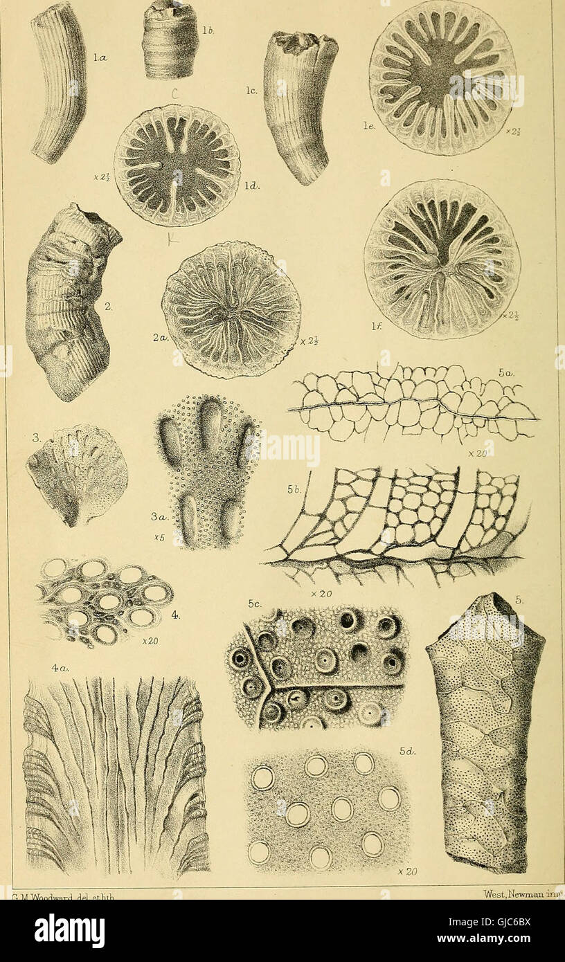 The 1890 edition of the Geological Magazine presents in-depth articles ...