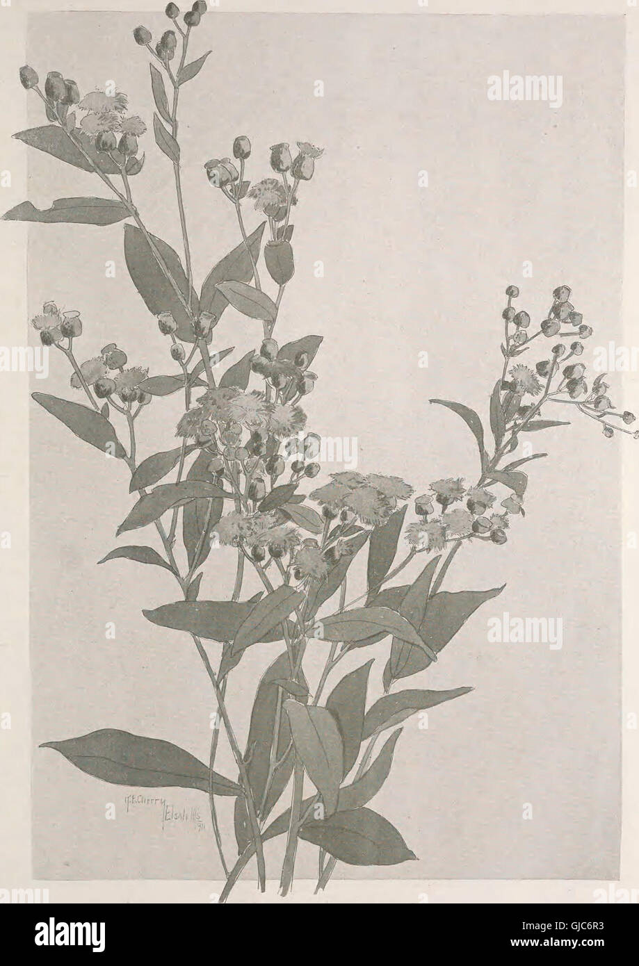 Keramic studio (1912 Stock Photo - Alamy