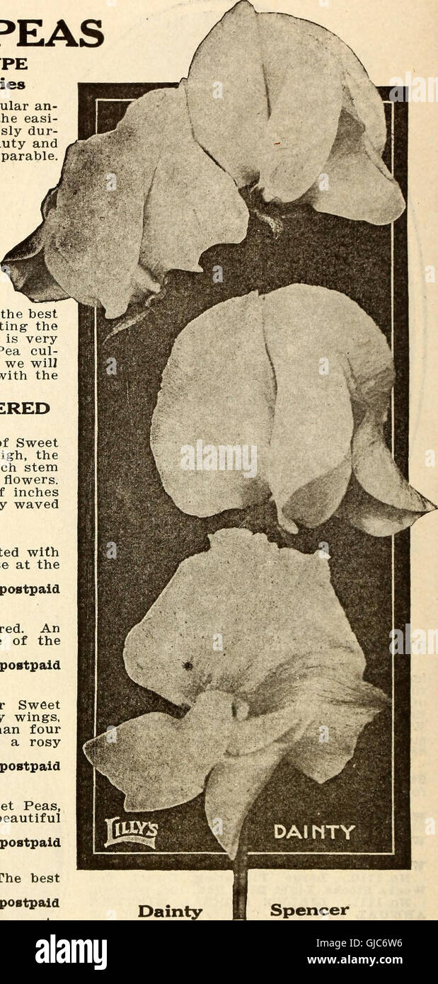 Lilly's 1919 catalog offers a comprehensive list of products available ...