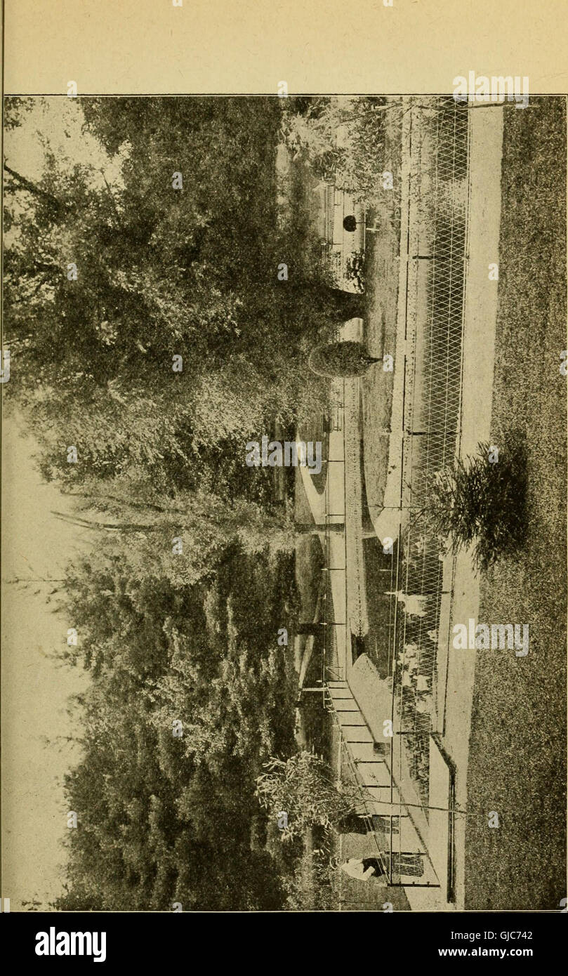 This 1894 compilation includes various city documents, such as the ...